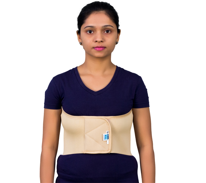 Abdomen and Spine - Happy Zone Health Store