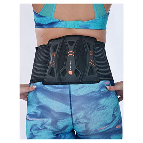 Abdomen and Spine - Happy Zone Health Store